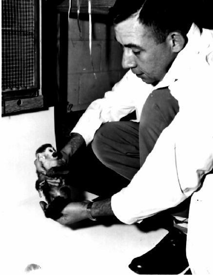 Fort Gordongaretiree Newsletter Videos De Hombres Gordos Y Maduros Follando